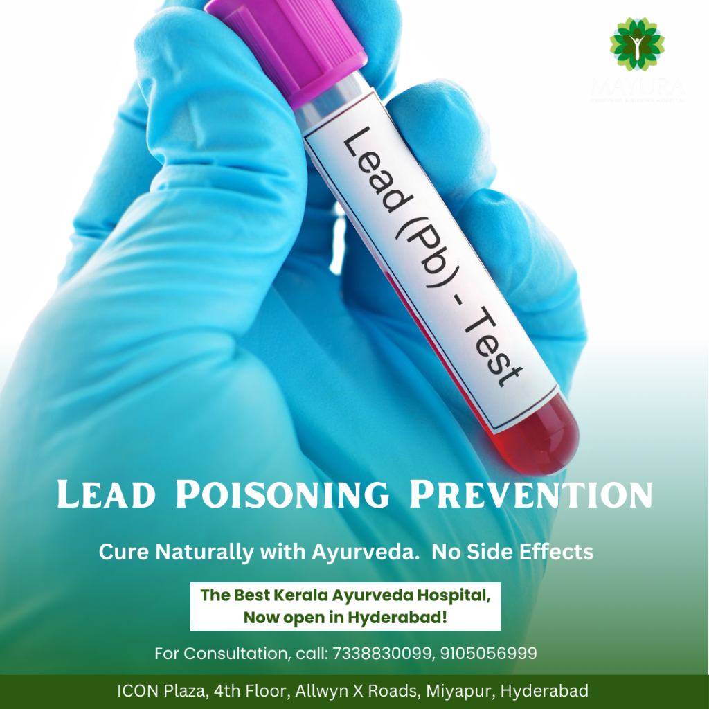 Lead Poisoning Prevention: Tips and Strategies for a Safe Home - Mayura ...