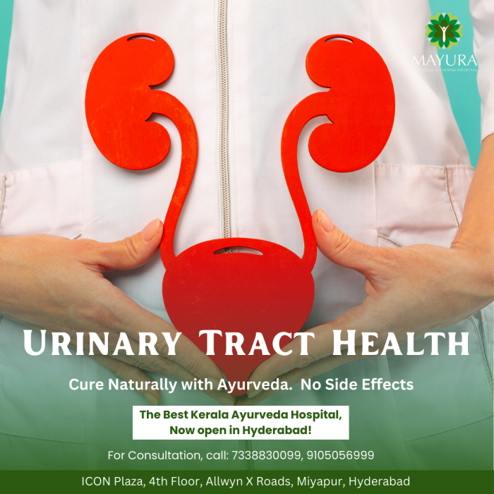 Urinary Tract Health: Tips for Prevention and Management - Mayura Hospitals